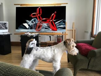 “A Day in the Life” with artist, François Chartier