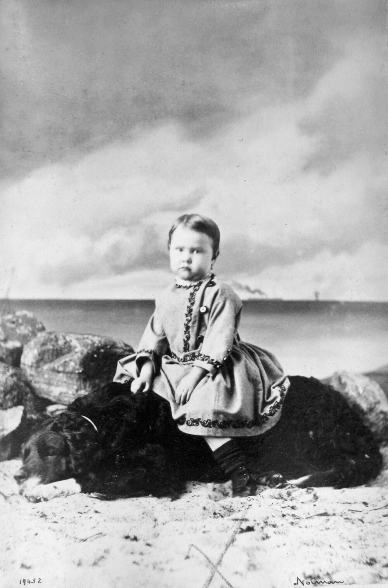 Old Photographs of Dogs in Montréal (1862-1898)