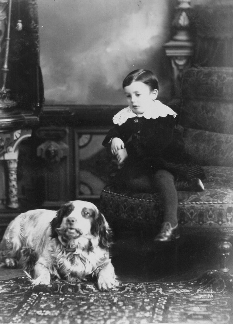 Old Photographs of Dogs in Montréal (1862-1898)