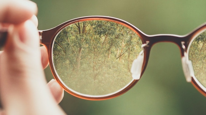 Preventable Vision Loss in Rising in Canada: How Can Healthcare Keep Up?
