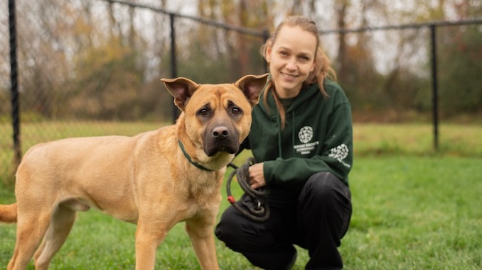 Charitable Choices: Humane Society International/Canada