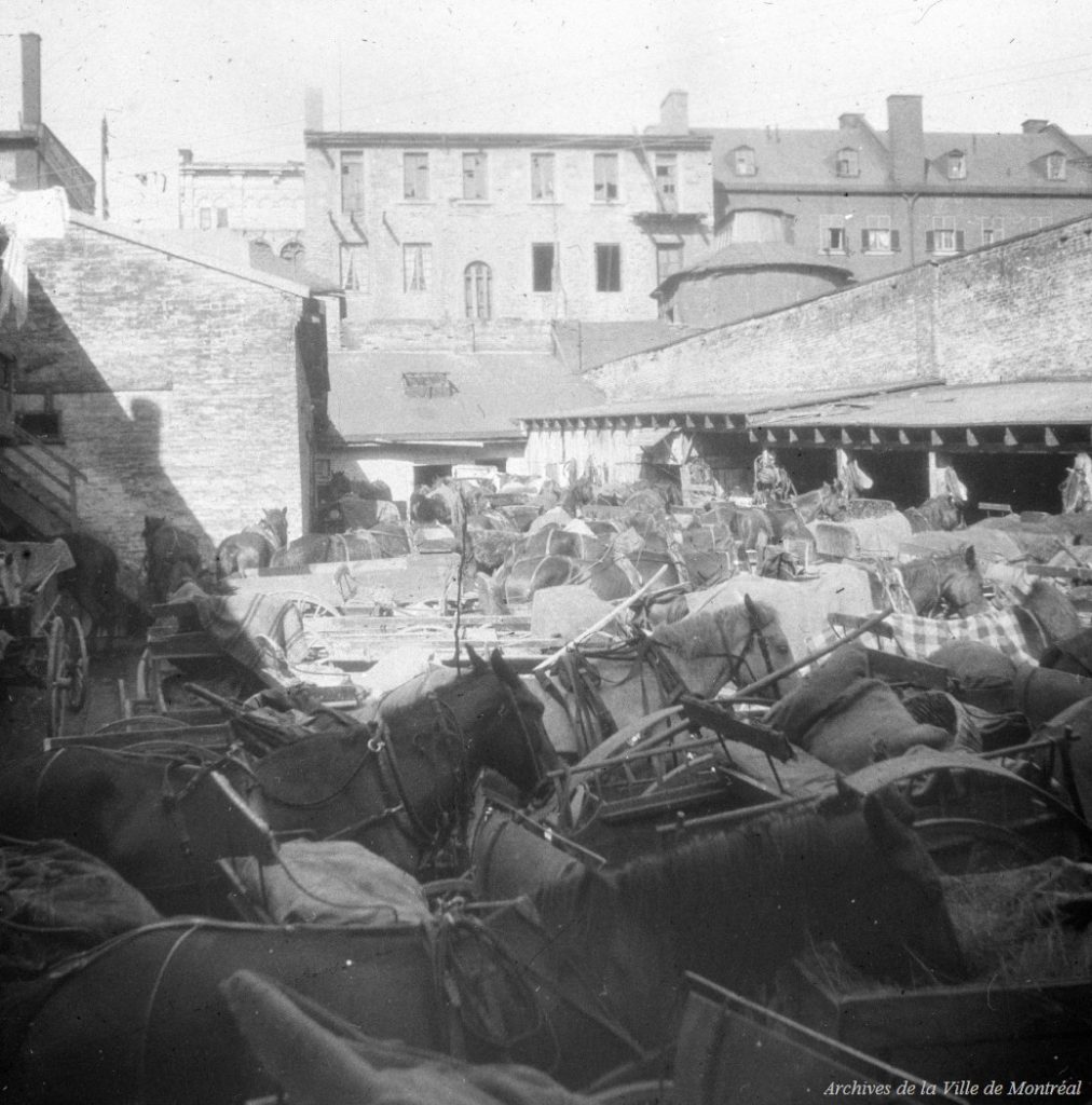 Old Photographs of the Bonsecours Market (1884-1982)