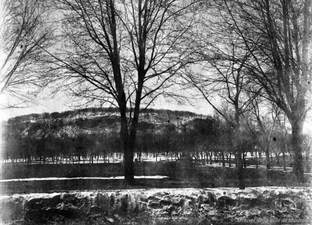 Old Photographs of Mount Royal (1910-1969)