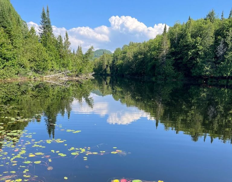 "A Day in the Life" with: Montréal Visual Artist Terry Fishman