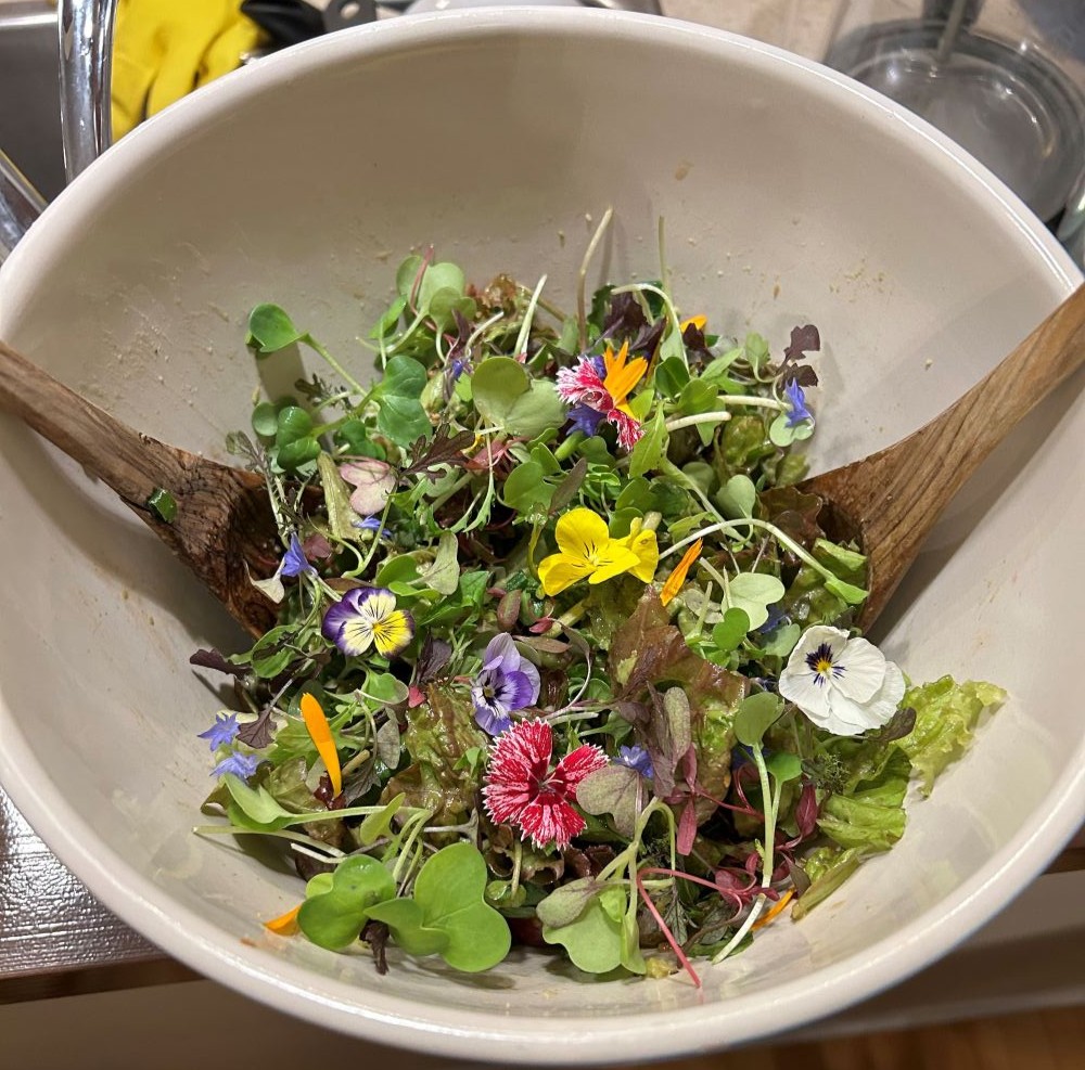 “A Day in the Life” with: Montréal Musical Director Bob Bachelor